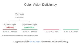 The Impact of Color in Visualizations | PPTX