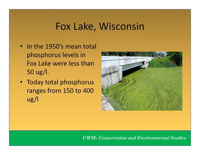 Use of enhanced ditch plugs | PPT