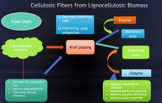 Use of enzyme in paper industry | PPTX