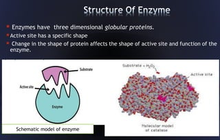 Use of enzyme in paper industry | PPTX