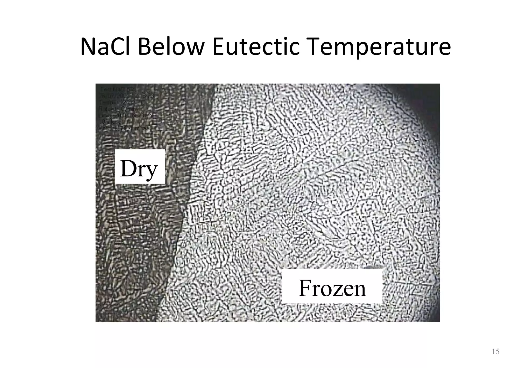 Use Of Freeze Drying Microscopy To Determine Critical Parameters Ppt