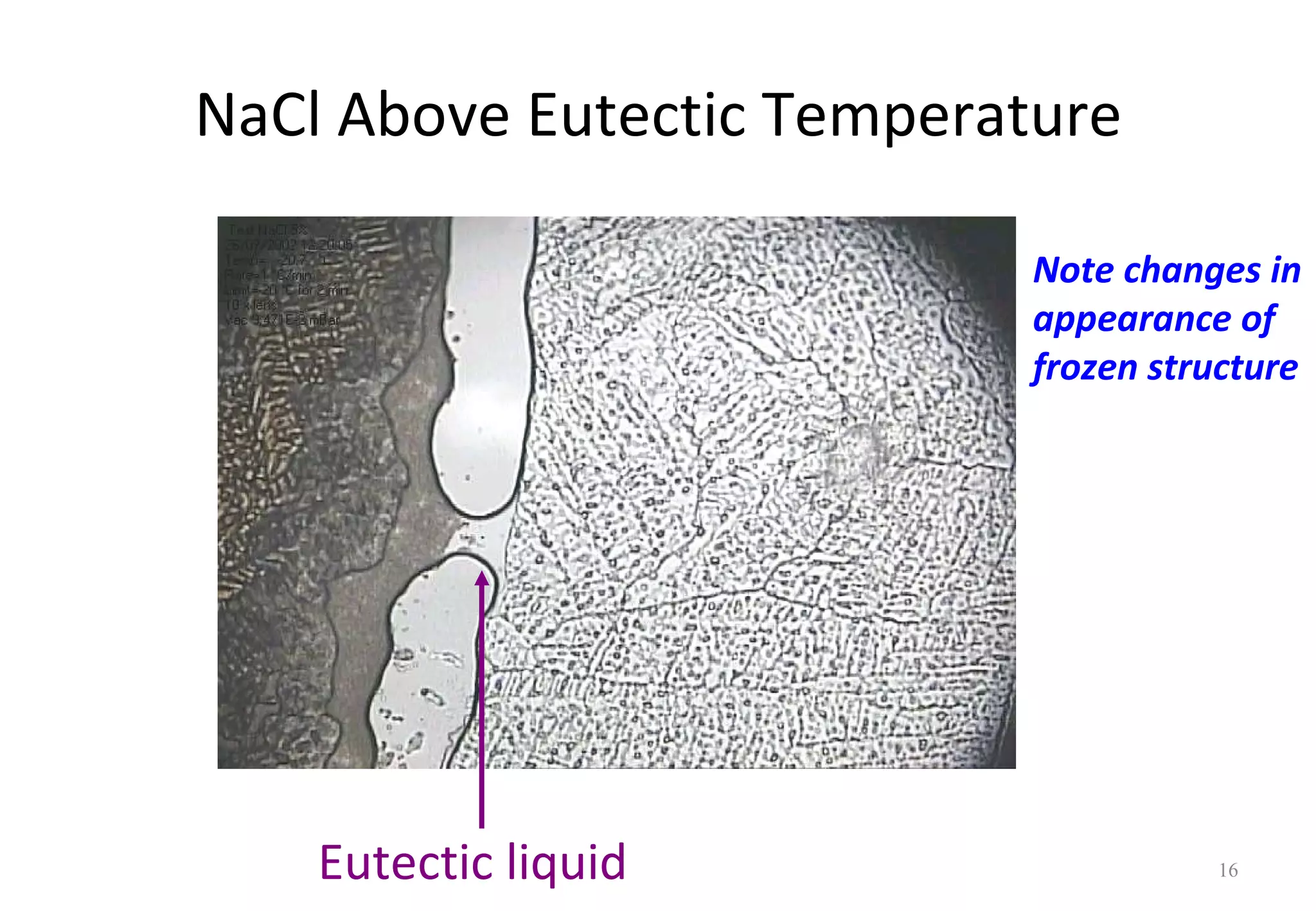Use Of Freeze Drying Microscopy To Determine Critical Parameters Ppt