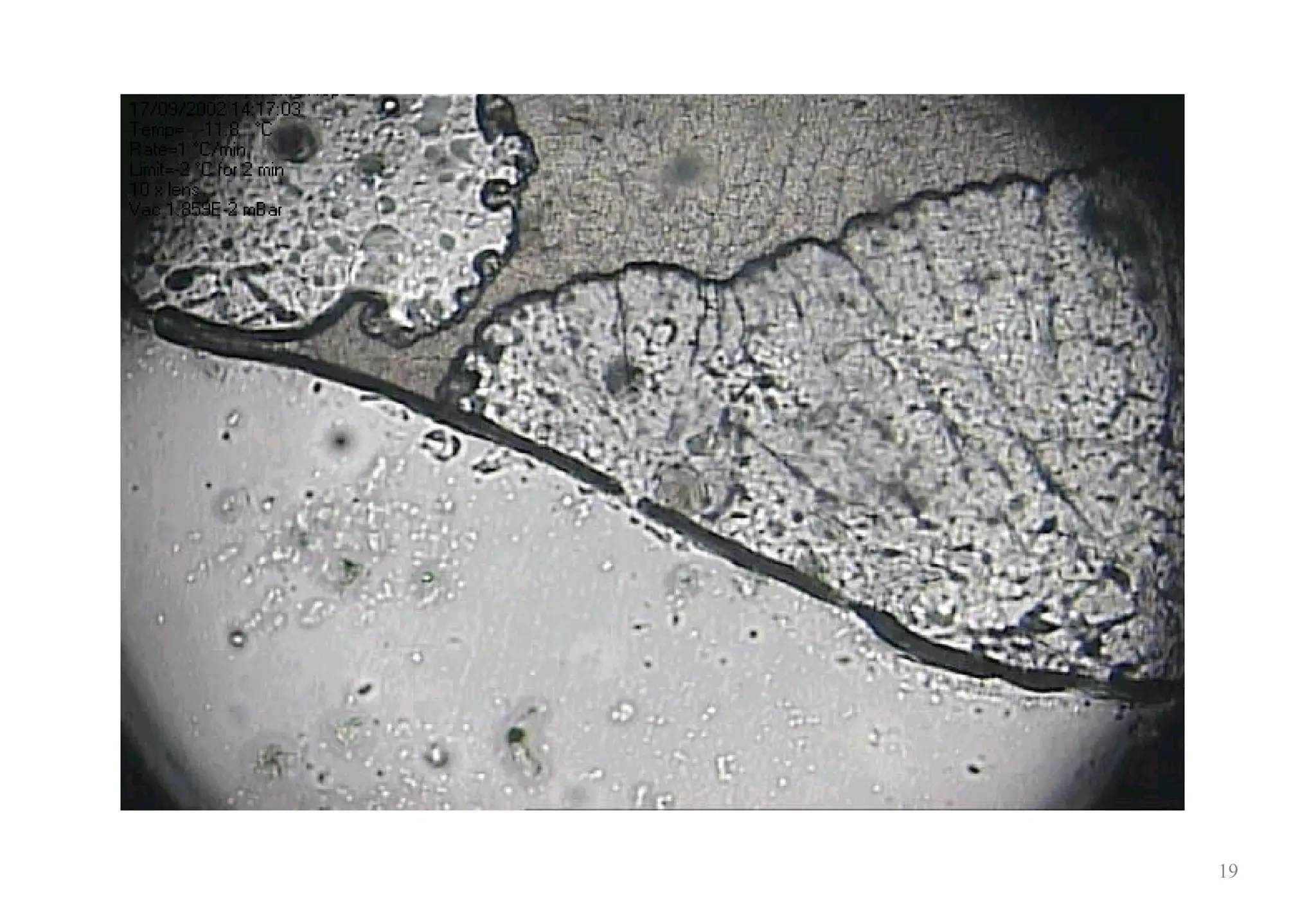 Use Of Freeze Drying Microscopy To Determine Critical Parameters | PPT