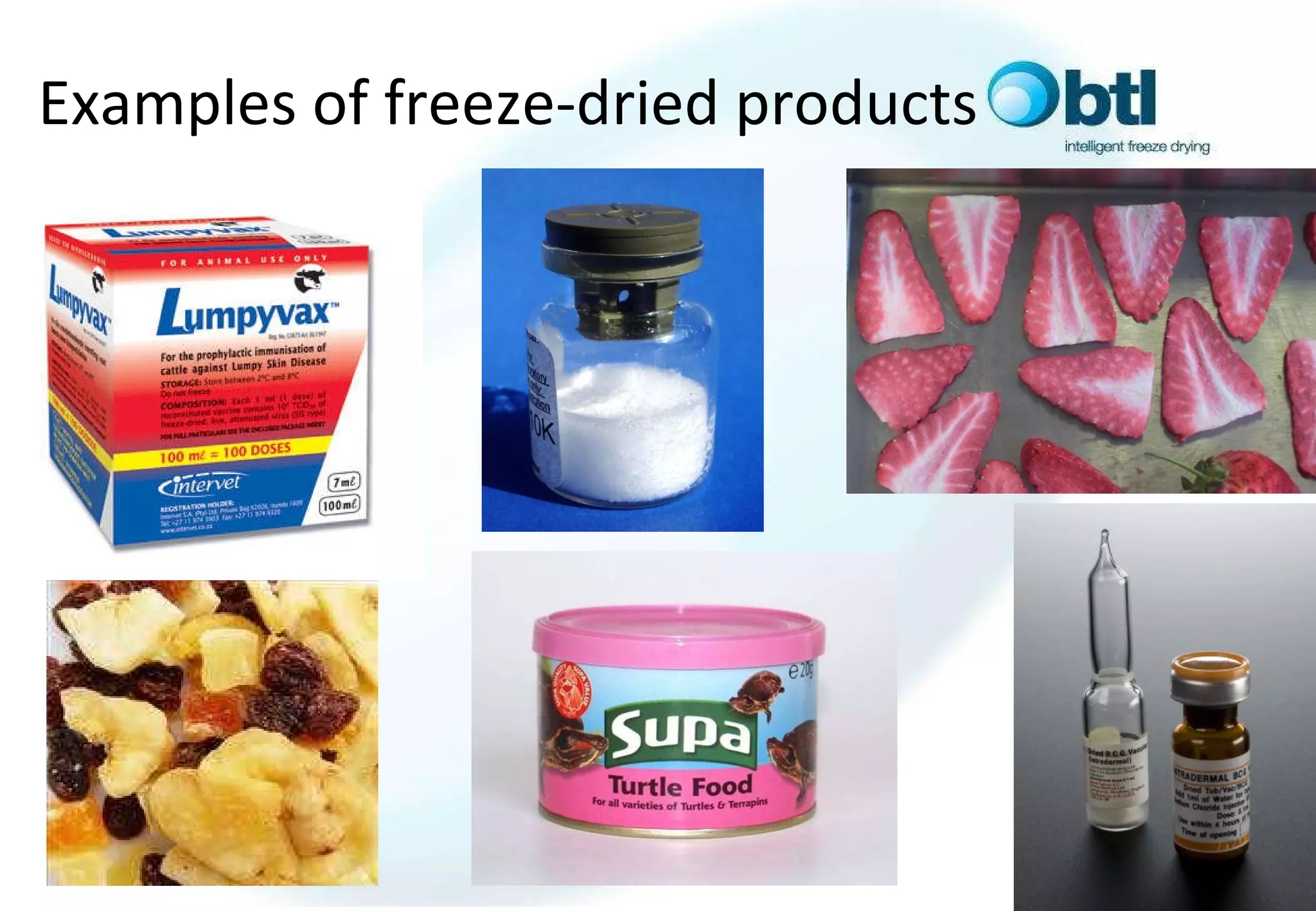 Use Of Freeze Drying Microscopy To Determine Critical Parameters Ppt