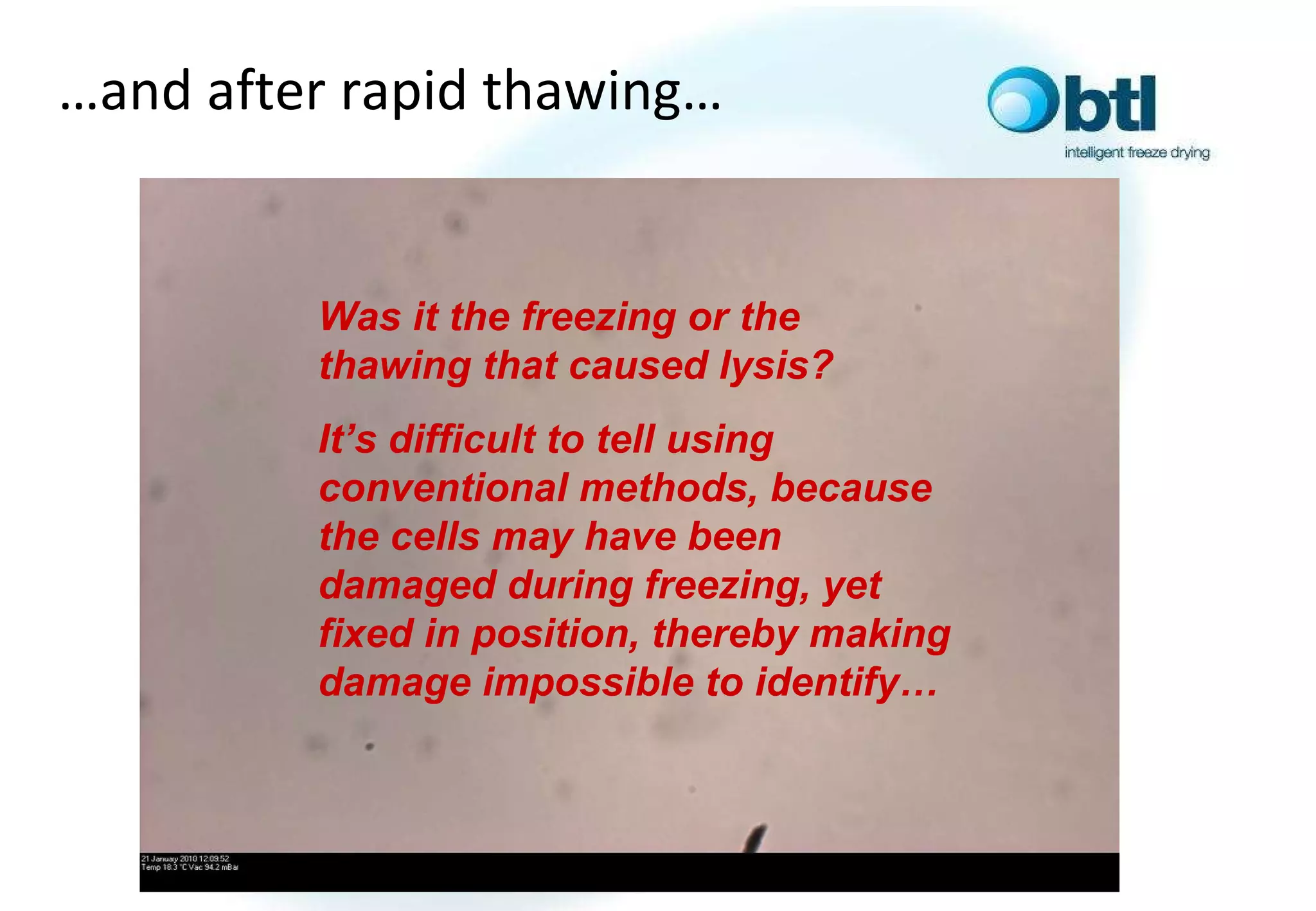 Use Of Freeze Drying Microscopy To Determine Critical Parameters Ppt