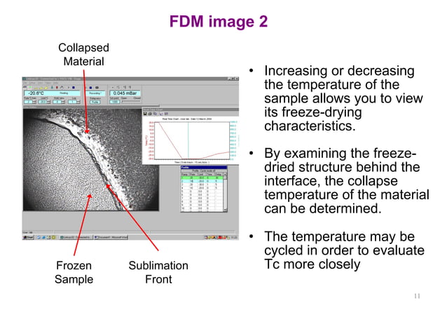Use Of Freeze Drying Microscopy To Determine Critical Parameters Ppt