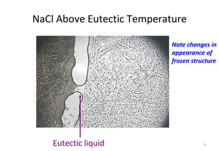 Use Of Freeze Drying Microscopy To Determine Critical Parameters | PPT