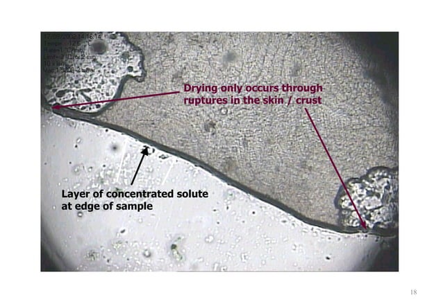 Use Of Freeze Drying Microscopy To Determine Critical Parameters Ppt