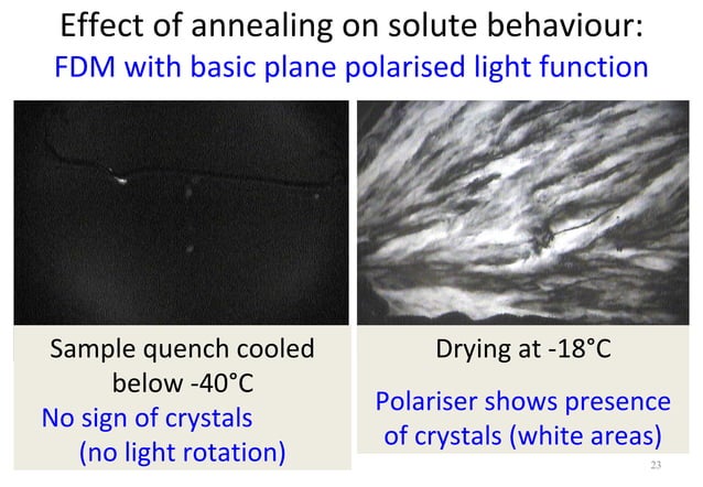Use Of Freeze Drying Microscopy To Determine Critical Parameters | PPT