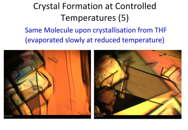Use Of Freeze Drying Microscopy To Determine Critical Parameters | PPT