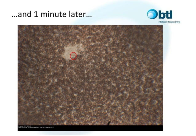 Use Of Freeze Drying Microscopy To Determine Critical Parameters Ppt