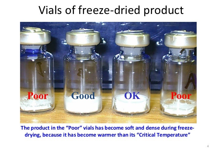 Use Of Freeze Drying Microscopy To Determine Critical Parameters