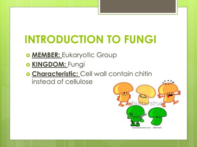 Use of fungus in cosmetics | PDF