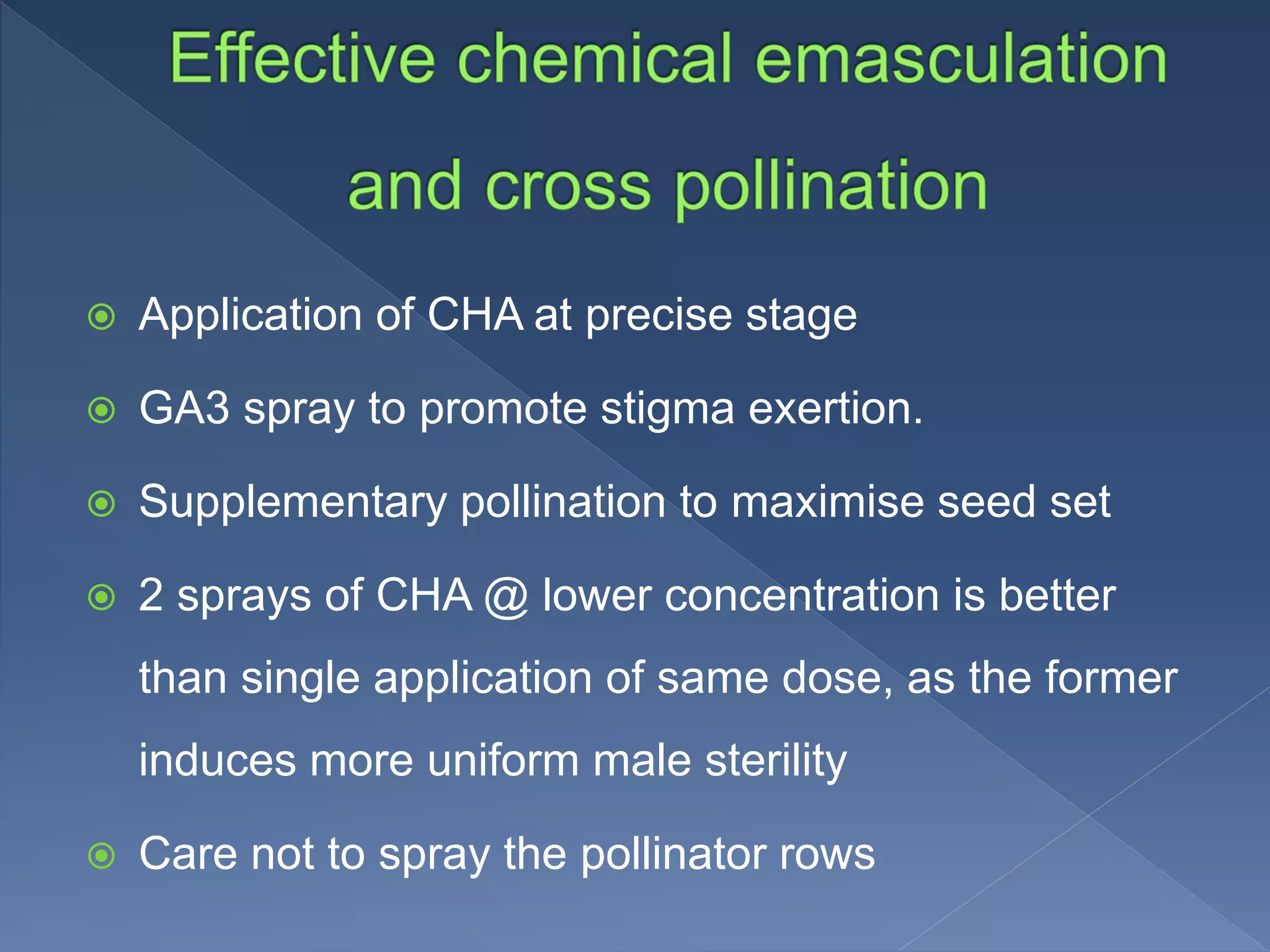 Use of gametocides in hybrid seed production | PPTX