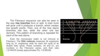 Use of golden ratio in architecture | PPTX