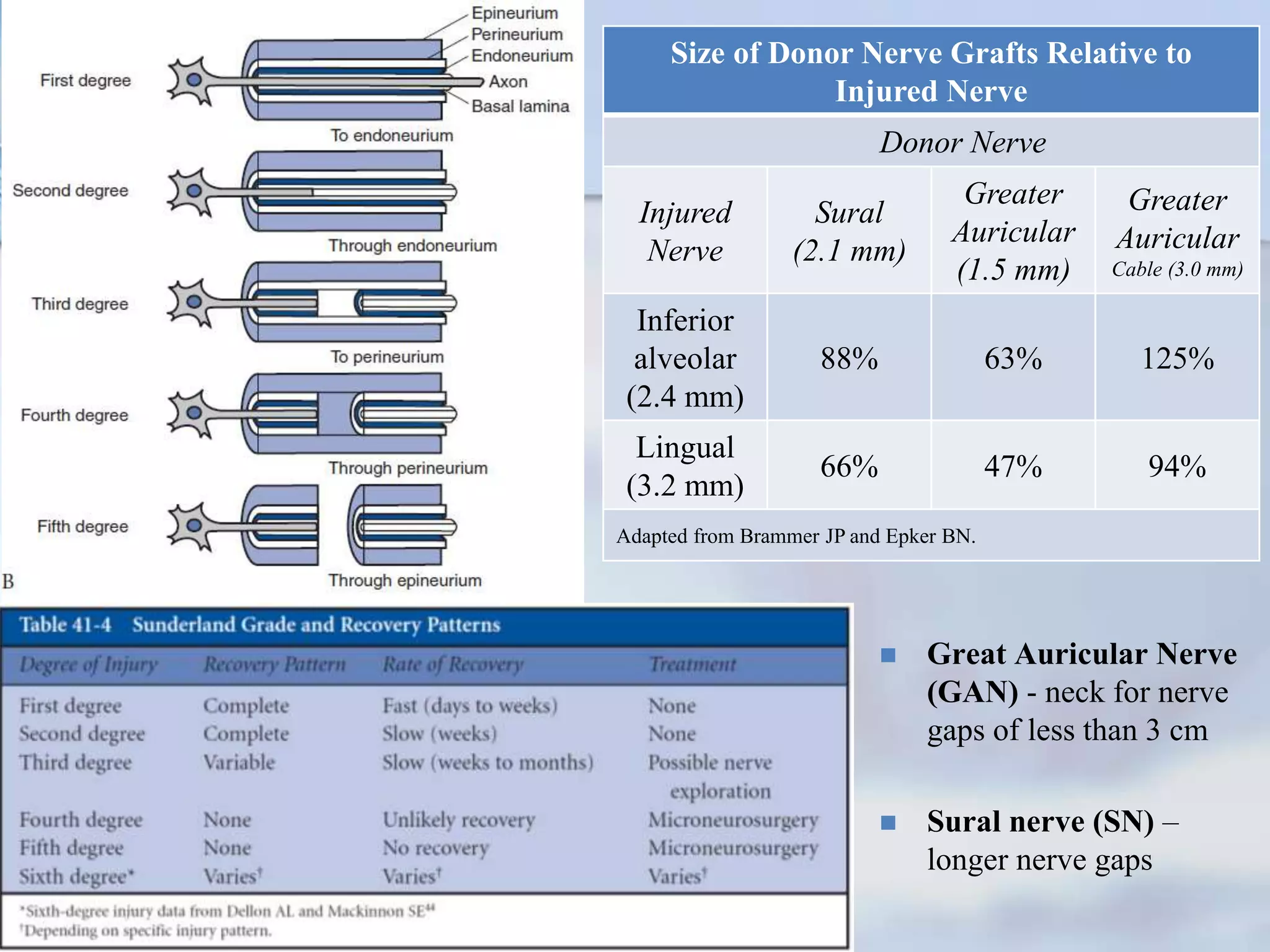 Use of grafts & alloplastic material in maxillofacial trauma | PPTX