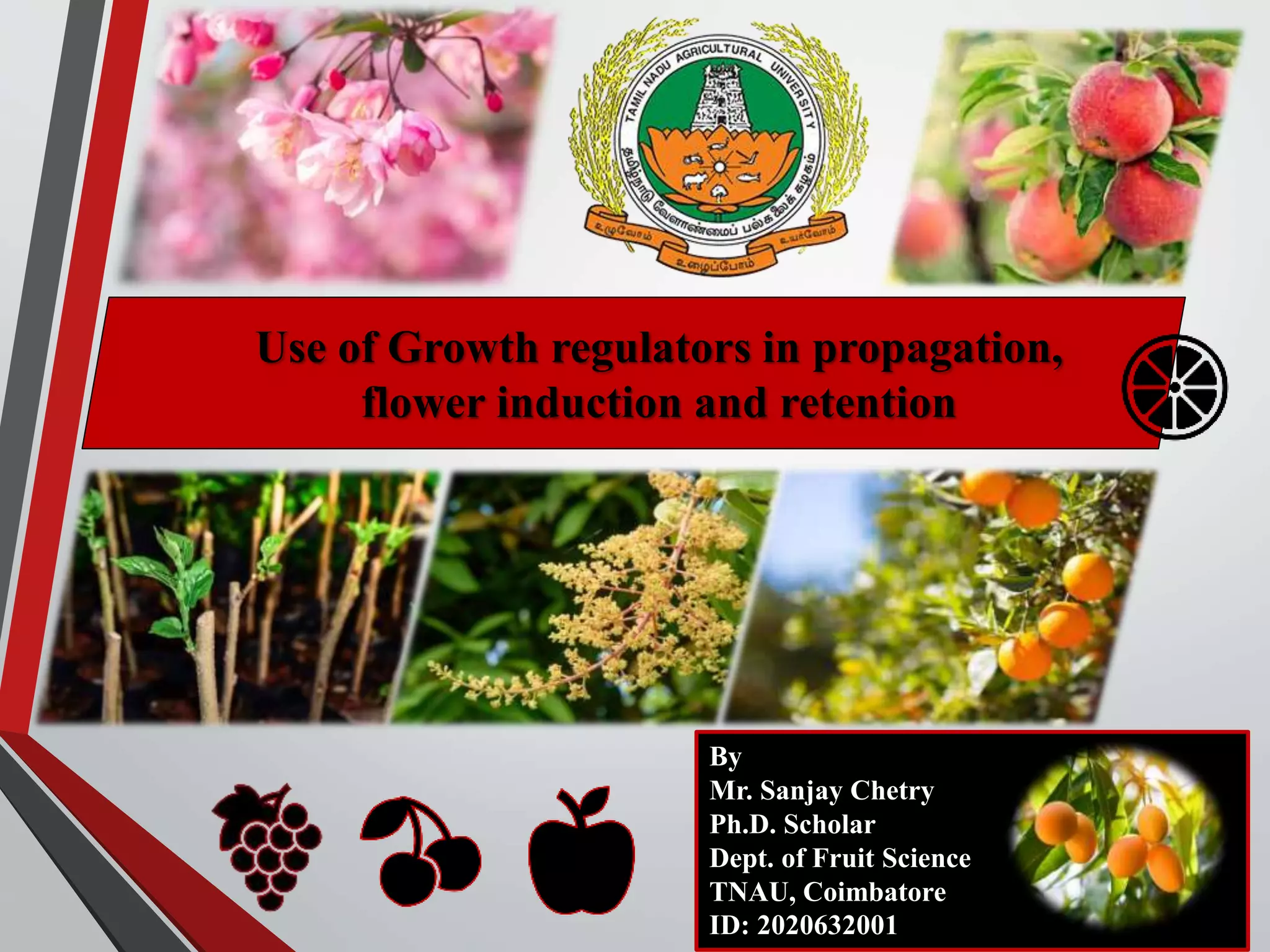 Use of Growth regulators in propagation, flower induction and retention ...