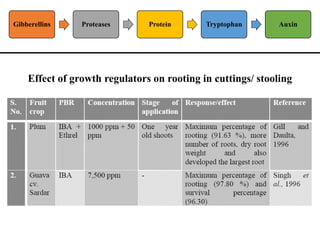 Use of Growth regulators in propagation, flower induction and retention ...