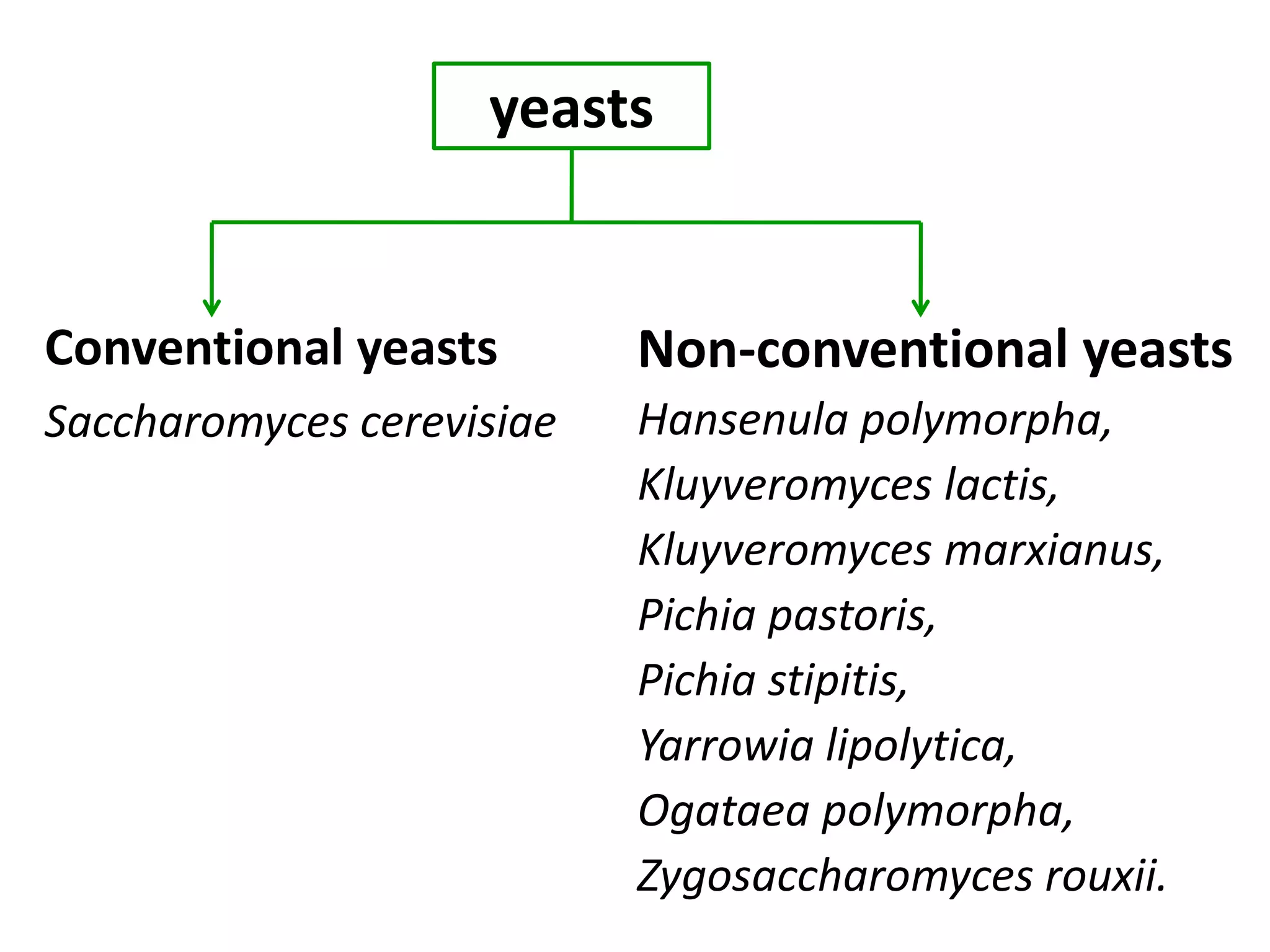 Use of immobilized cells in fermentation industry | PPTX