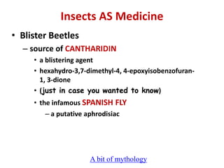 Use of Insects in Medicine 2020.ppt