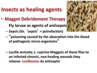 Use of Insects in Medicine 2020.ppt