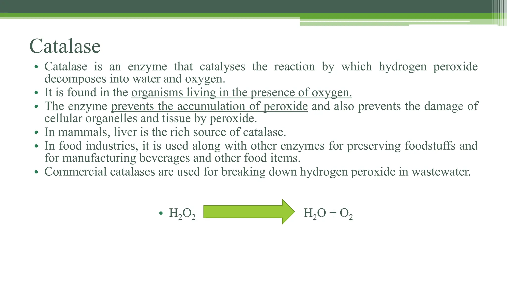 Use of microbes and production of enzymes.pdf