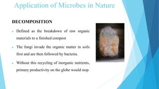 useofmicrobesinindustry-210927064138 (2).pdf
