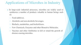 useofmicrobesiniiiiiiiiiiiiindustry.pptx