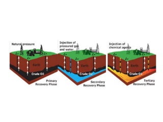 Use of microbes in mineral benefication and oil recovery | PPTX