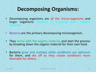 Useful Microorganisms | PPTX