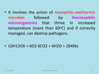 Useful Microorganisms | PPTX
