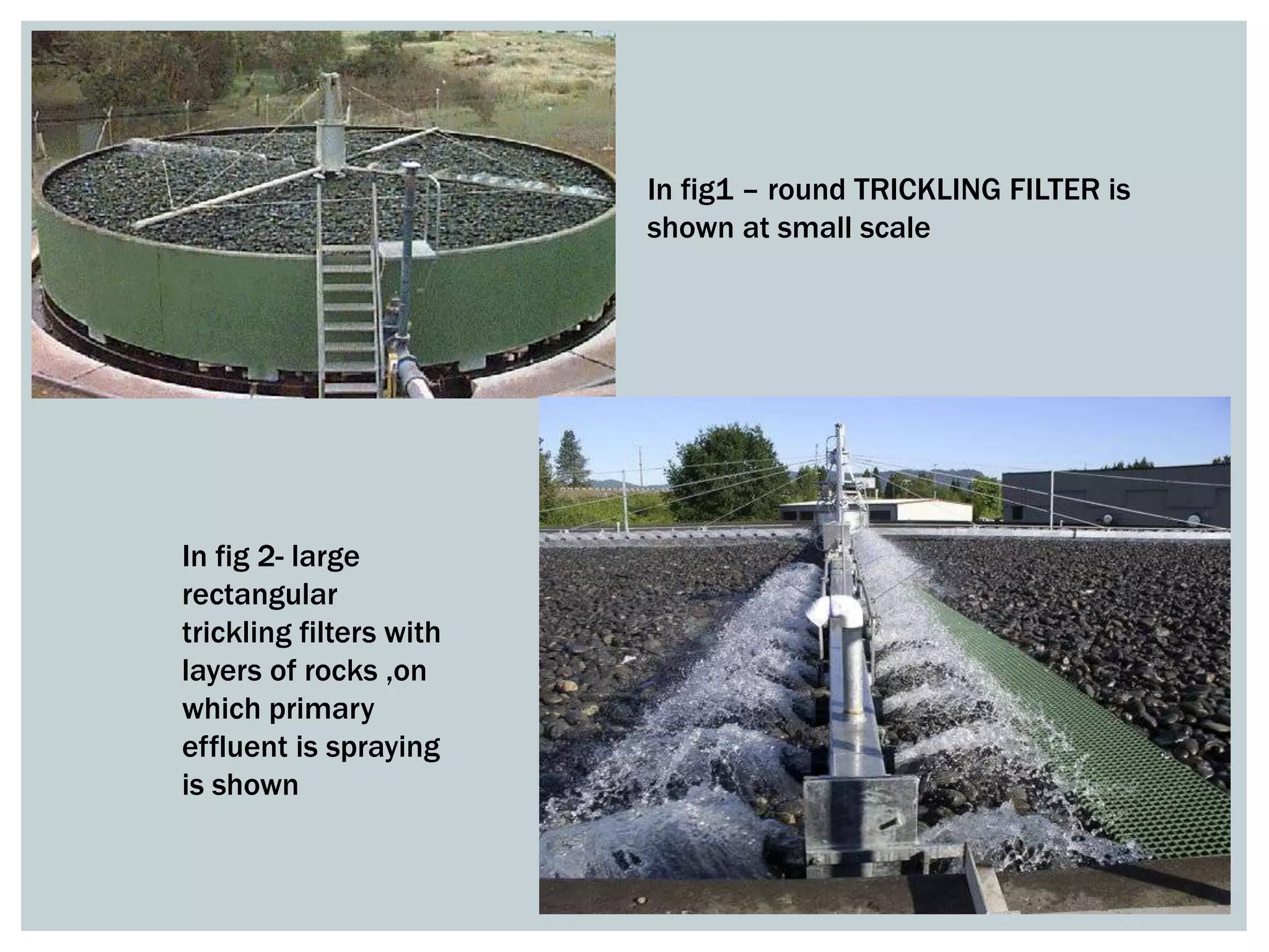 Use of microorganisms in wastewater treatment | PPTX