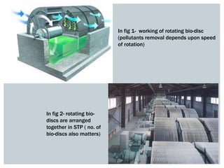 Use of microorganisms in wastewater treatment | PPTX