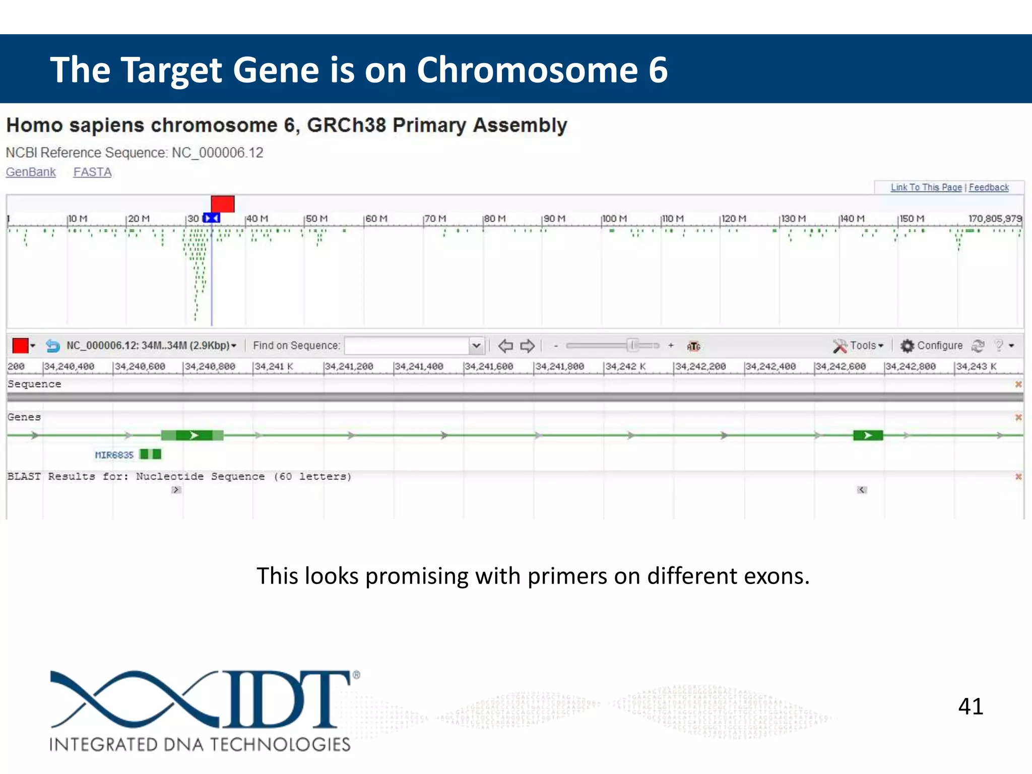 Use of NCBI Databases in qPCR Assay Design | PPTX | Databases | Computer Software and Applications