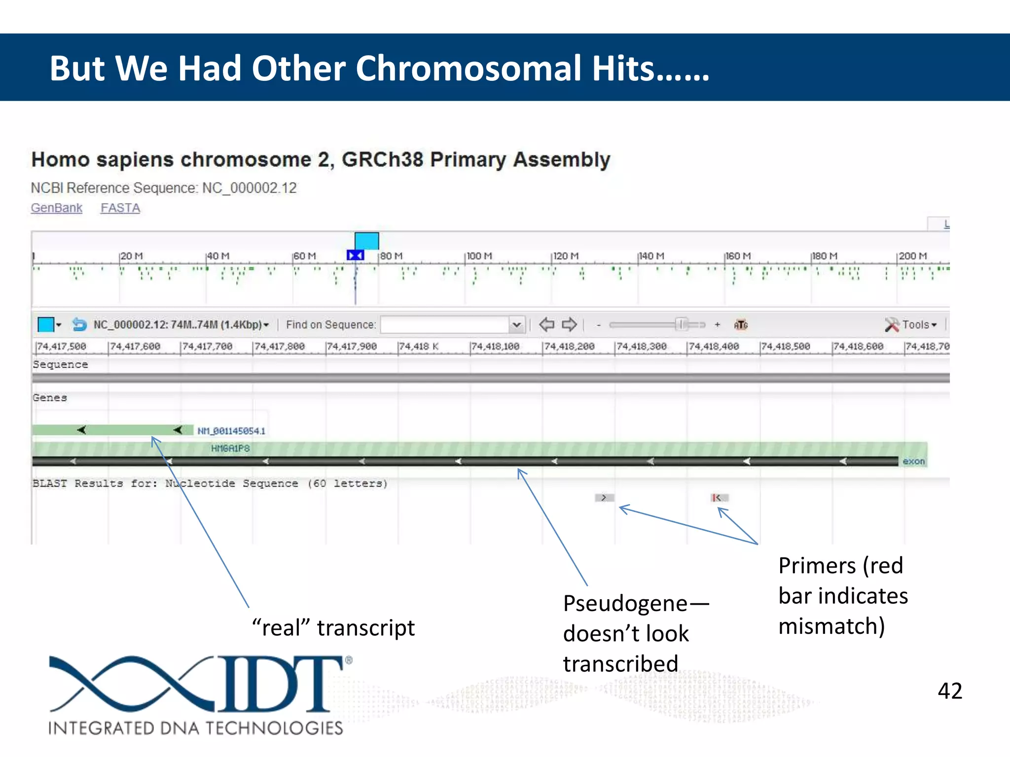Use of NCBI Databases in qPCR Assay Design | PPTX | Databases | Computer Software and Applications