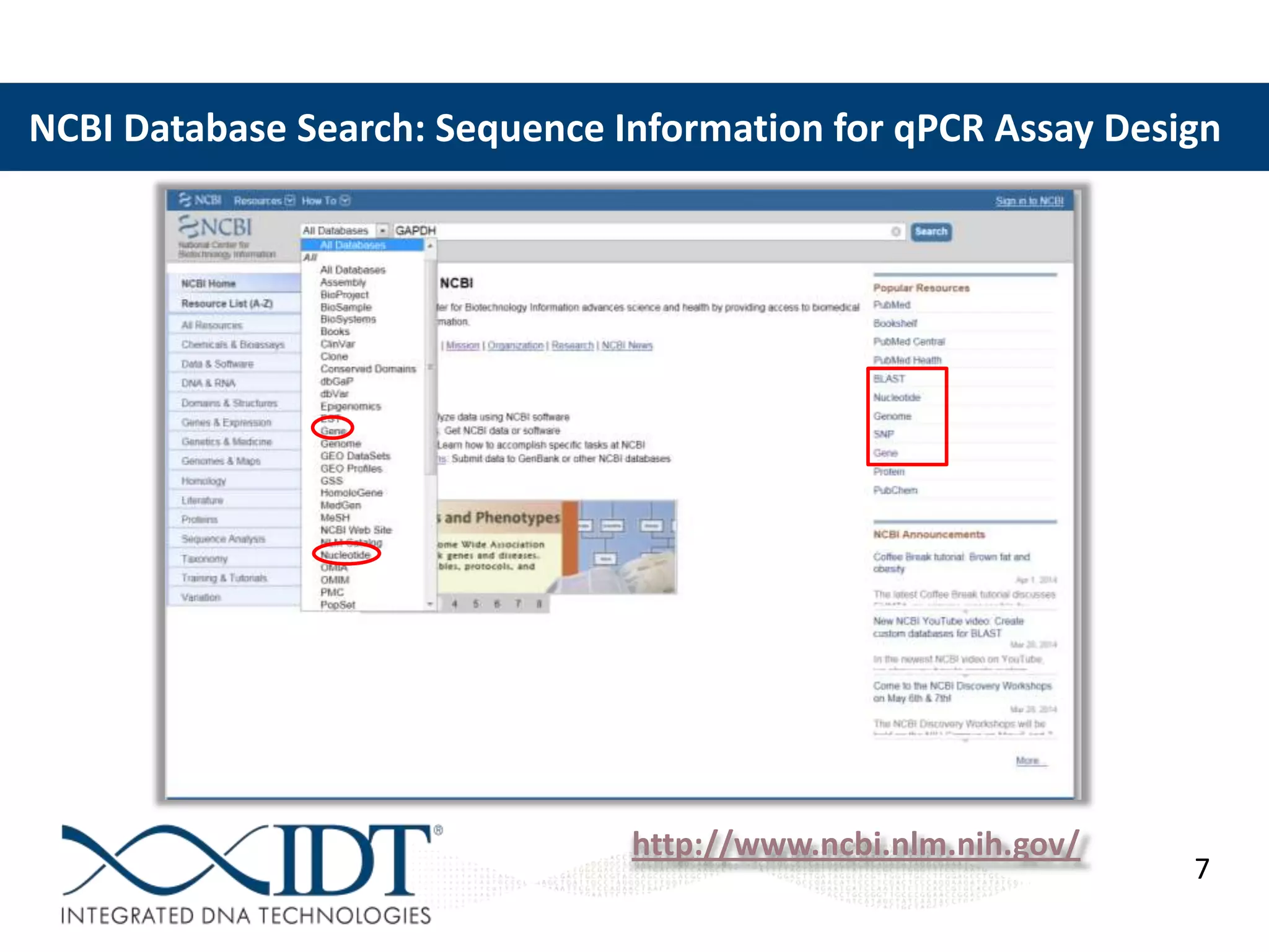 Use of NCBI Databases in qPCR Assay Design | PPTX | Databases | Computer Software and Applications