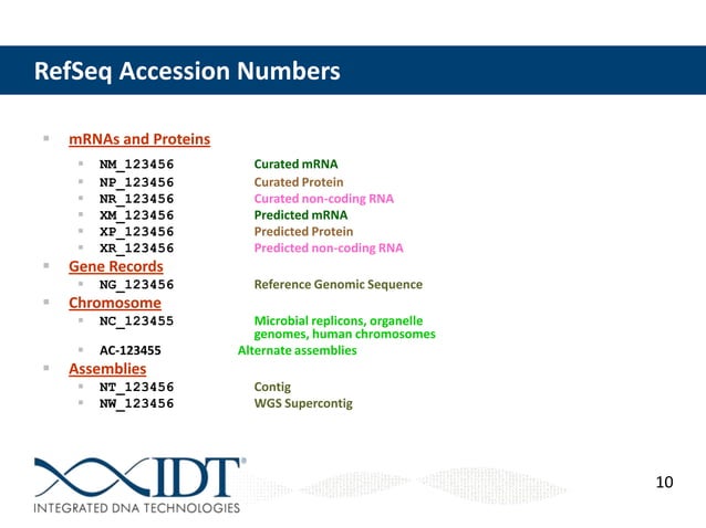 Use of NCBI Databases in qPCR Assay Design | PPTX | Databases | Computer Software and Applications
