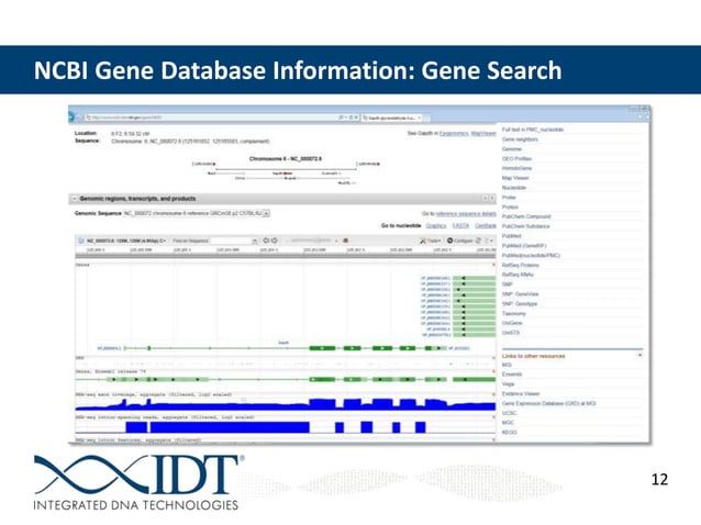 Use of NCBI Databases in qPCR Assay Design | PPTX | Databases | Computer Software and Applications