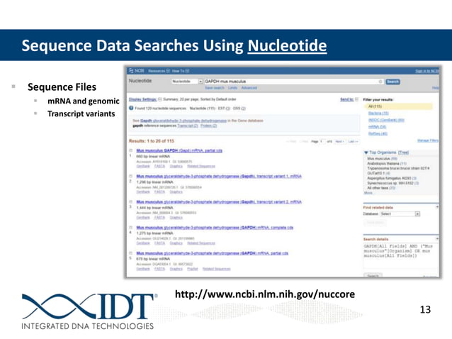 Use of NCBI Databases in qPCR Assay Design | PPTX | Databases | Computer Software and Applications