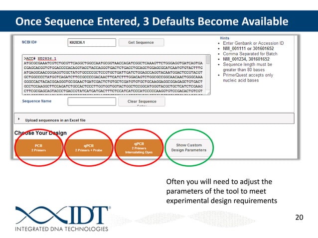 Use of NCBI Databases in qPCR Assay Design | PPTX | Databases | Computer Software and Applications