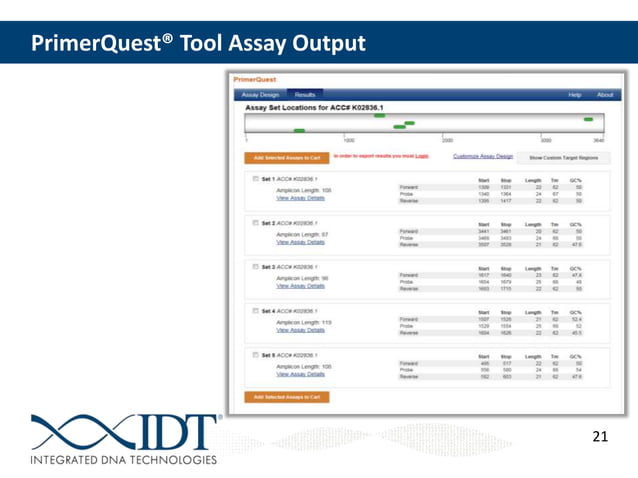 Use of NCBI Databases in qPCR Assay Design | PPT