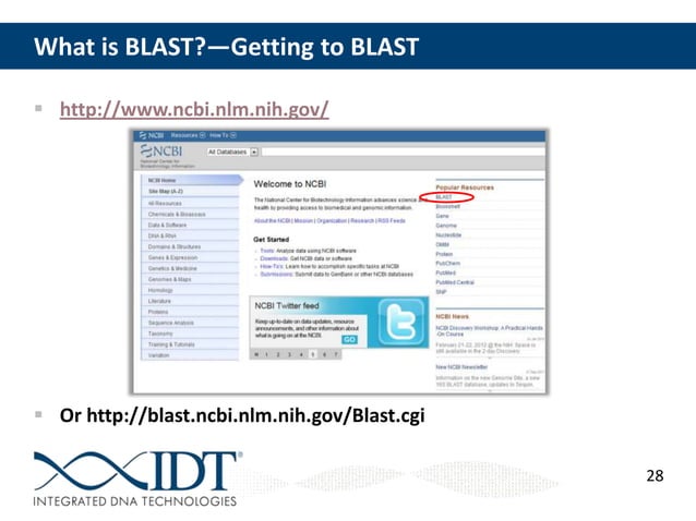 Use of NCBI Databases in qPCR Assay Design | PPTX | Databases | Computer Software and Applications