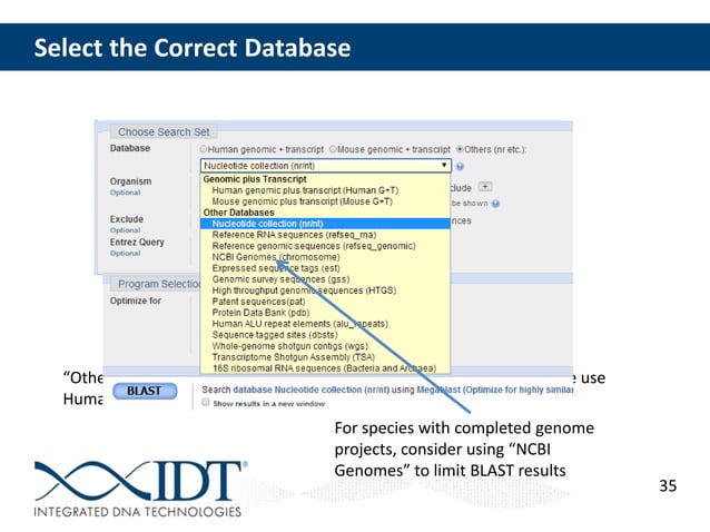 Use of NCBI Databases in qPCR Assay Design | PPTX | Databases | Computer Software and Applications