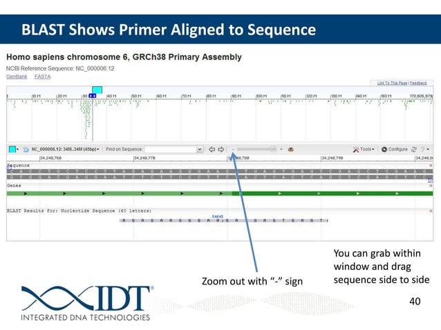 Use of NCBI Databases in qPCR Assay Design | PPTX | Databases | Computer Software and Applications