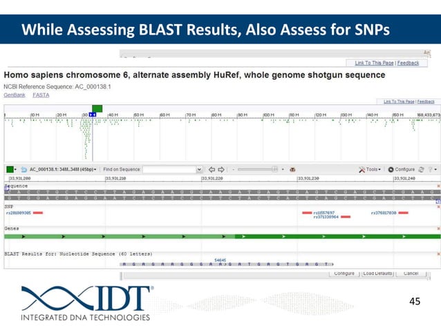 Use of NCBI Databases in qPCR Assay Design | PPTX | Databases | Computer Software and Applications