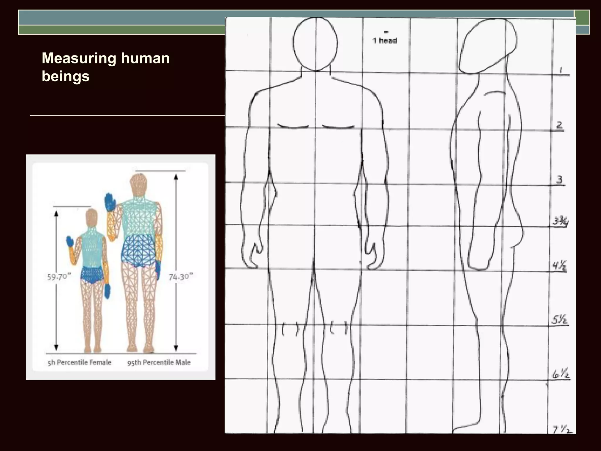 Use of percentiles ,and static and dynamic measurements | PPT