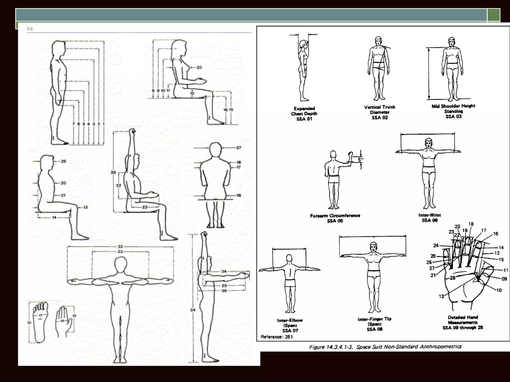 Use of percentiles ,and static and dynamic measurements | PPT