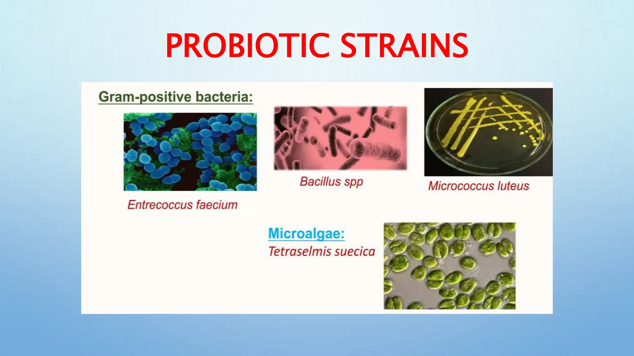 Use of Probiotics in Aquaculture.pptx