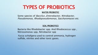 Use of Probiotics in Aquaculture.pptx