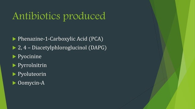 Use Of Pseudomonas Fluoroscens As Biocontrol Agent Pptx Gardening